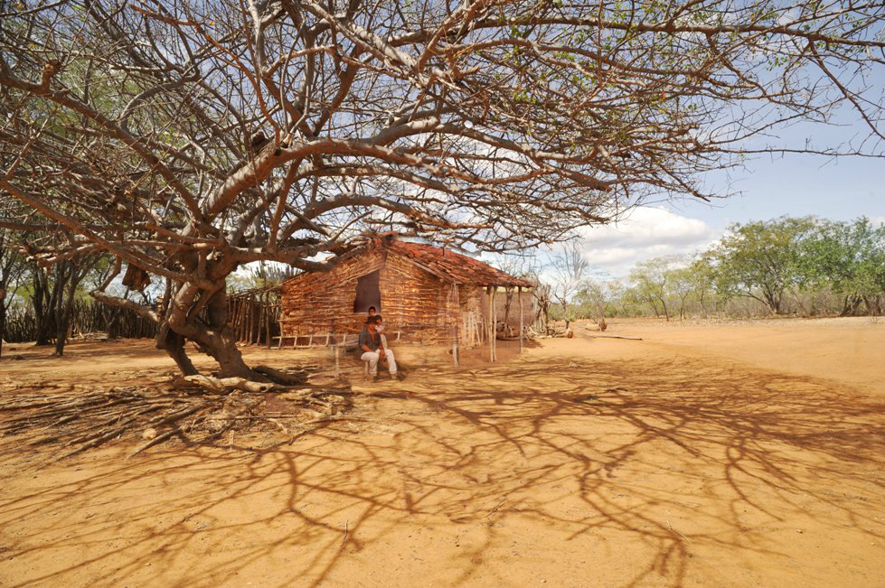 Blog Celso Japiassu: O Sertão