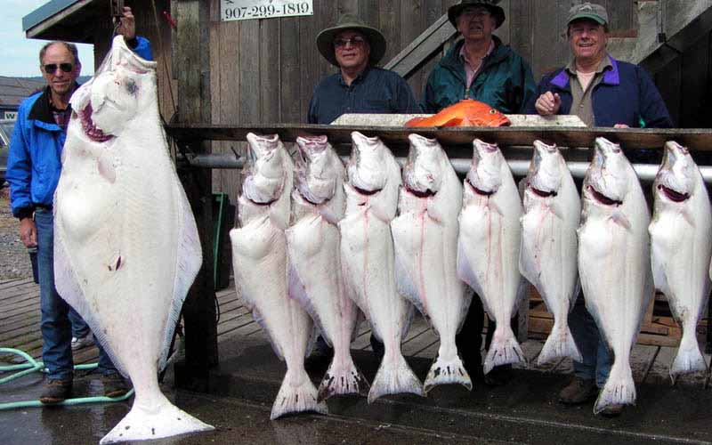 Tips For Salt Water Fishing:Fishing Tips