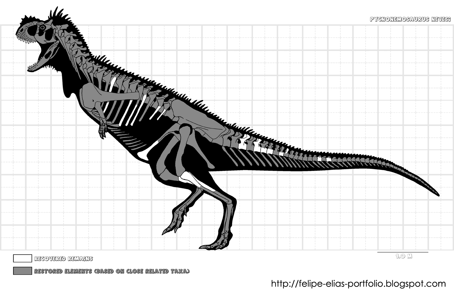 FELIPE ALVES ELIAS - Portfolio: Pycnonemosaurus nevesi (2011)
