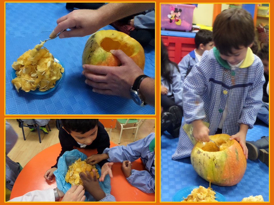 Educación infantil 4 años: Proyecto "Frutas y Hortalizas": La Calabaza