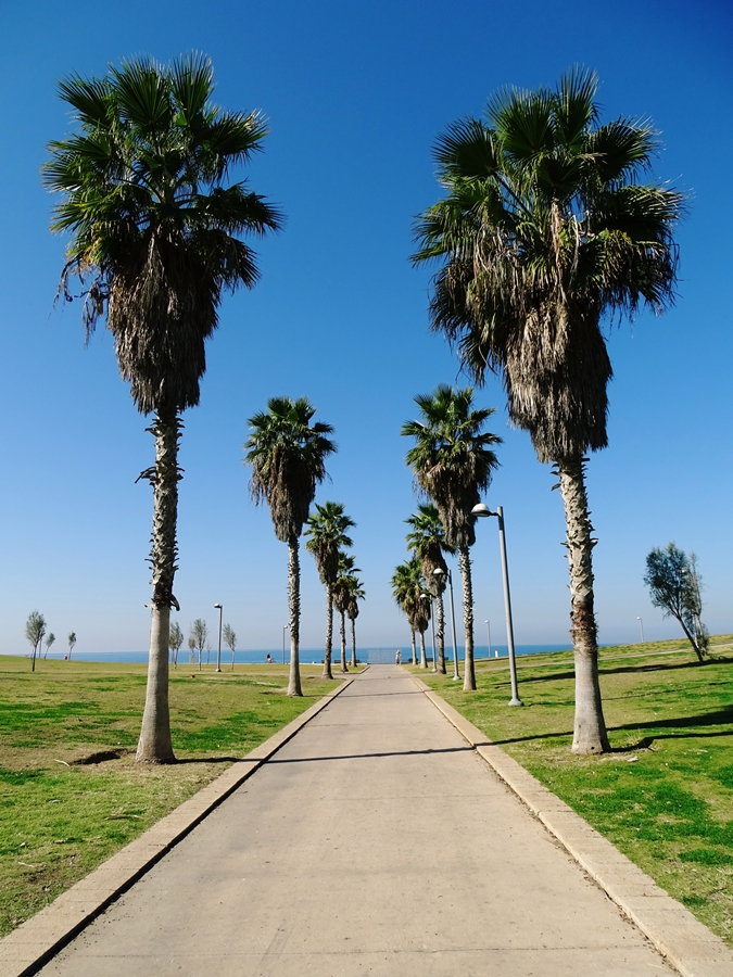 Tel Awiw - co warto zobaczyć? Główne atrakcje Tel Awiwu.