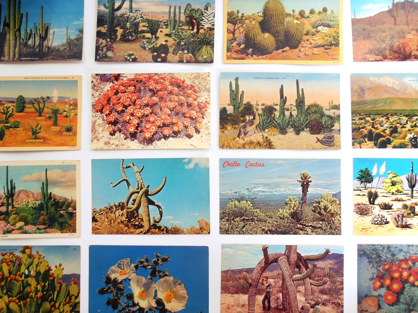 Thimble: Vintage Cactus Postcards
