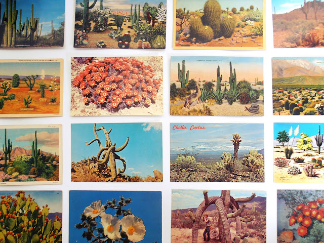 Thimble: Vintage Cactus Postcards