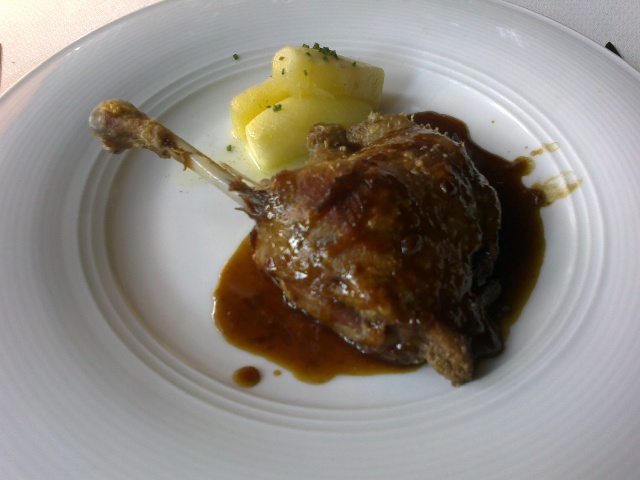 Pato tierno - Imagui