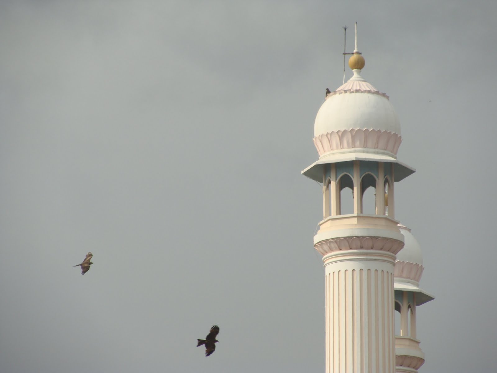 chuvar chithrangal: June 2011