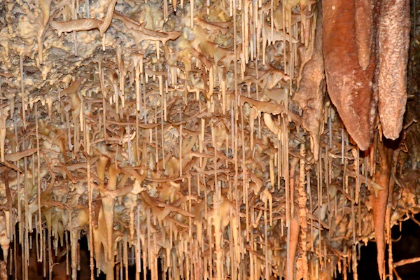 TC's Photos: Kartchner Caverns State Park 2013