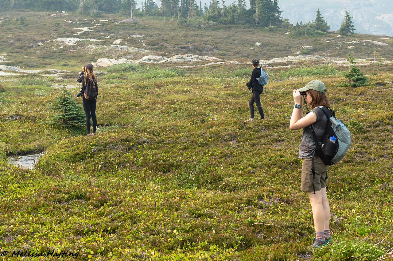 Young Women are changing the face of Birding everywhere!