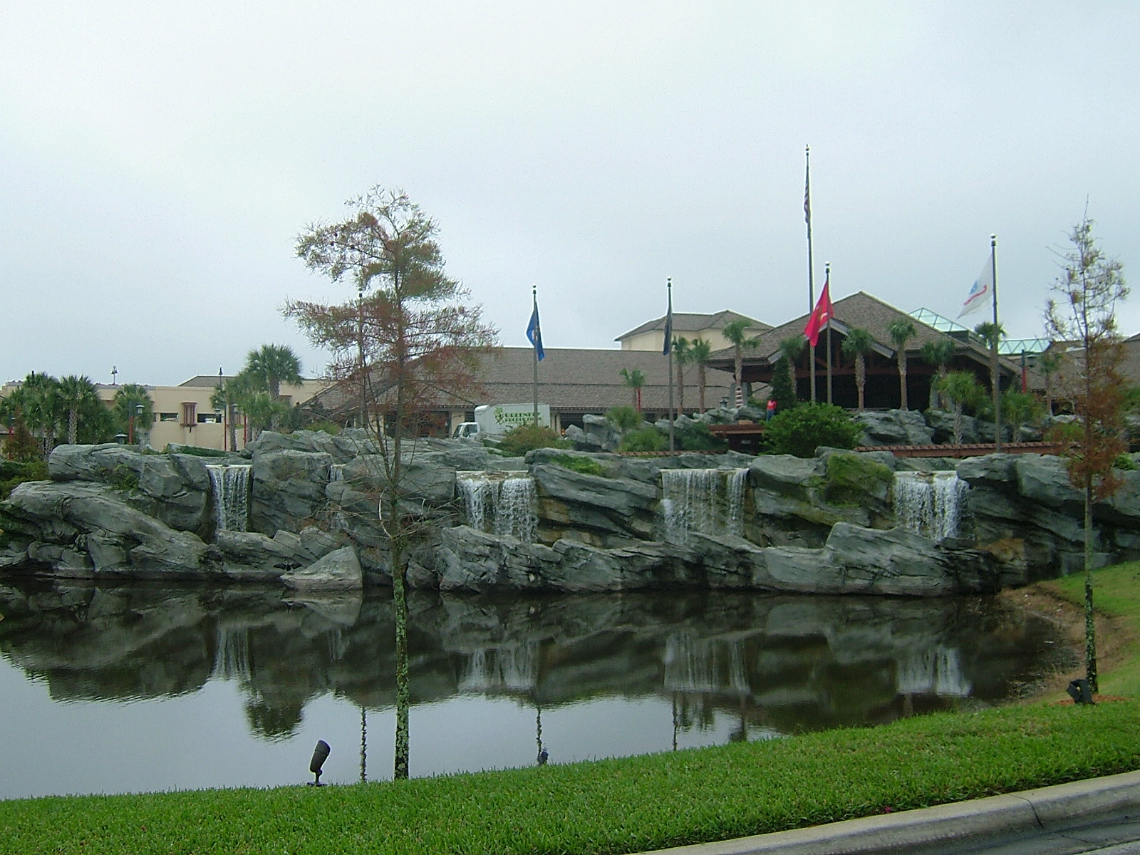 Florida Disneyland: Shades Of Green Disney World Fl Photos