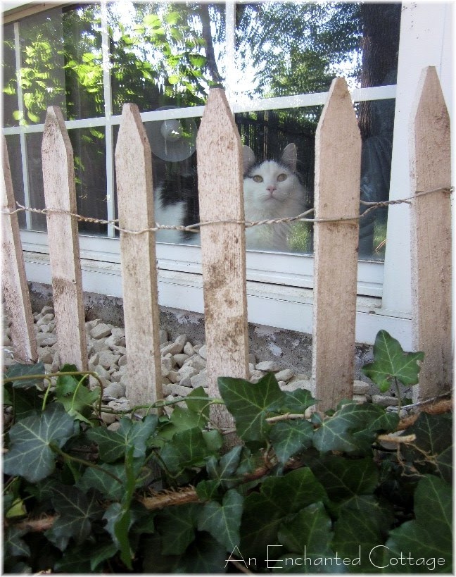 An Enchanted Cottage: Picket Fence Love...