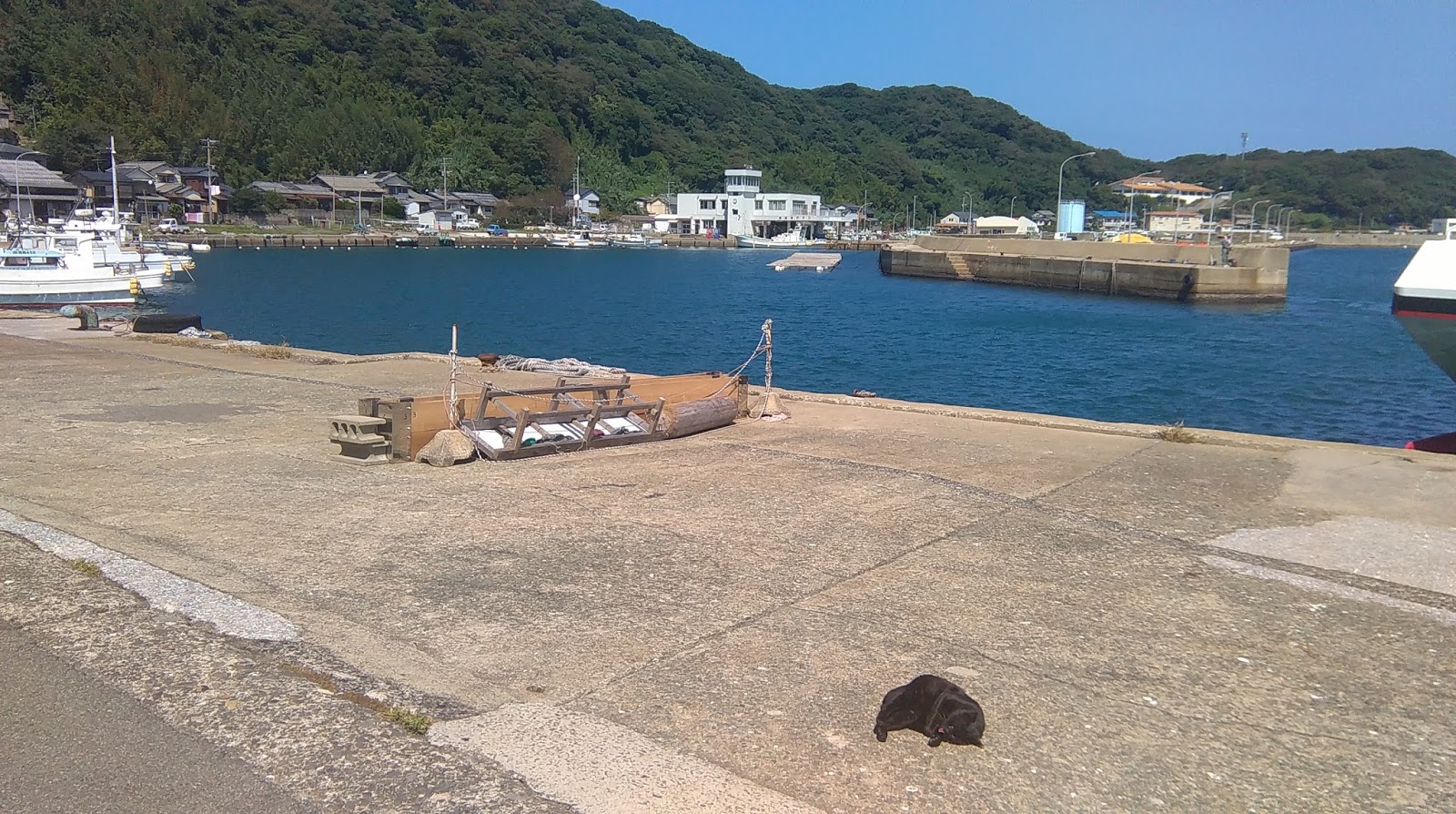 Arekun - . -: Cat Island Ainoshima in Fukuoka, Japan