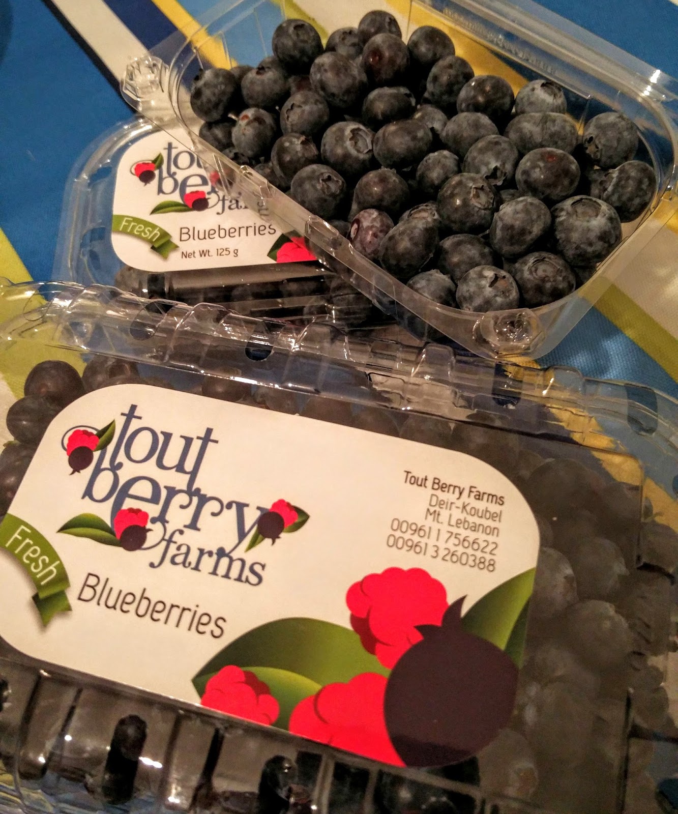 Lebanon's Tout Berry Farms Pioneer Blueberry Farming in the Middle East