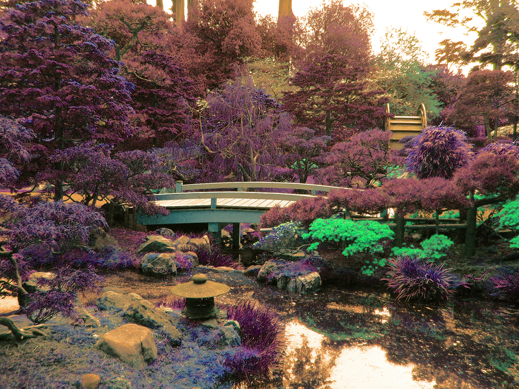 Aqua and Coral Imagery: Magical Stream of Lights: Glowing Aqua and Plum ...