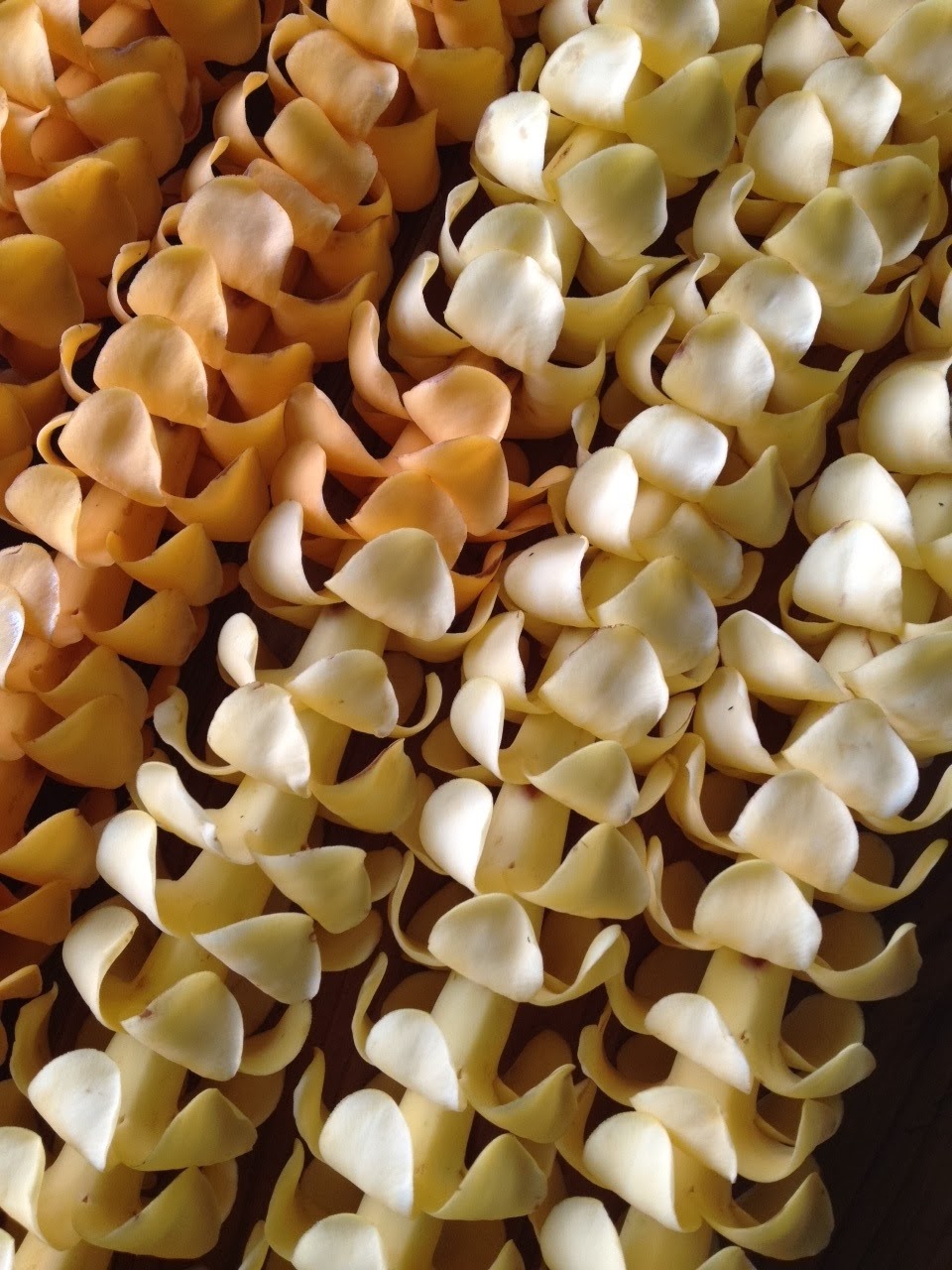 Ho‘okuleana: Puakenikeni