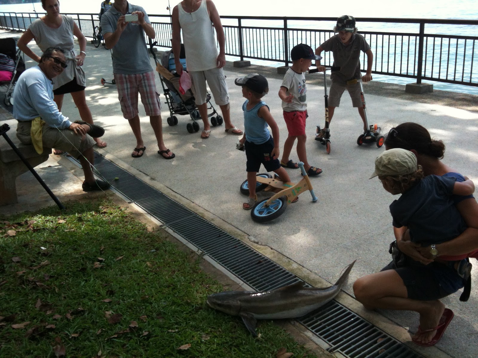 Singapore Man of Leisure: Big fish caught at Labrador Park
