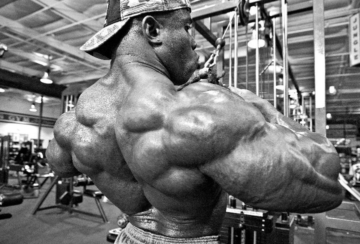 mr olympia 2012, mr olympia 2012 predictions, mr olympia 2012 winner ...