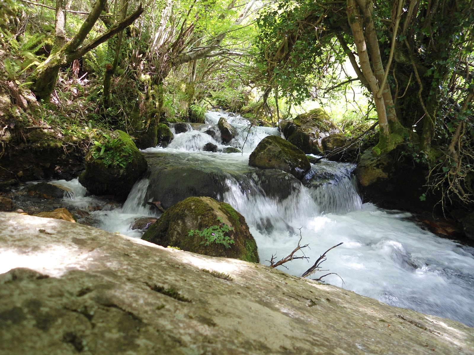 Camudando'l camín: El Pino (Ayer) - Pena Reonda