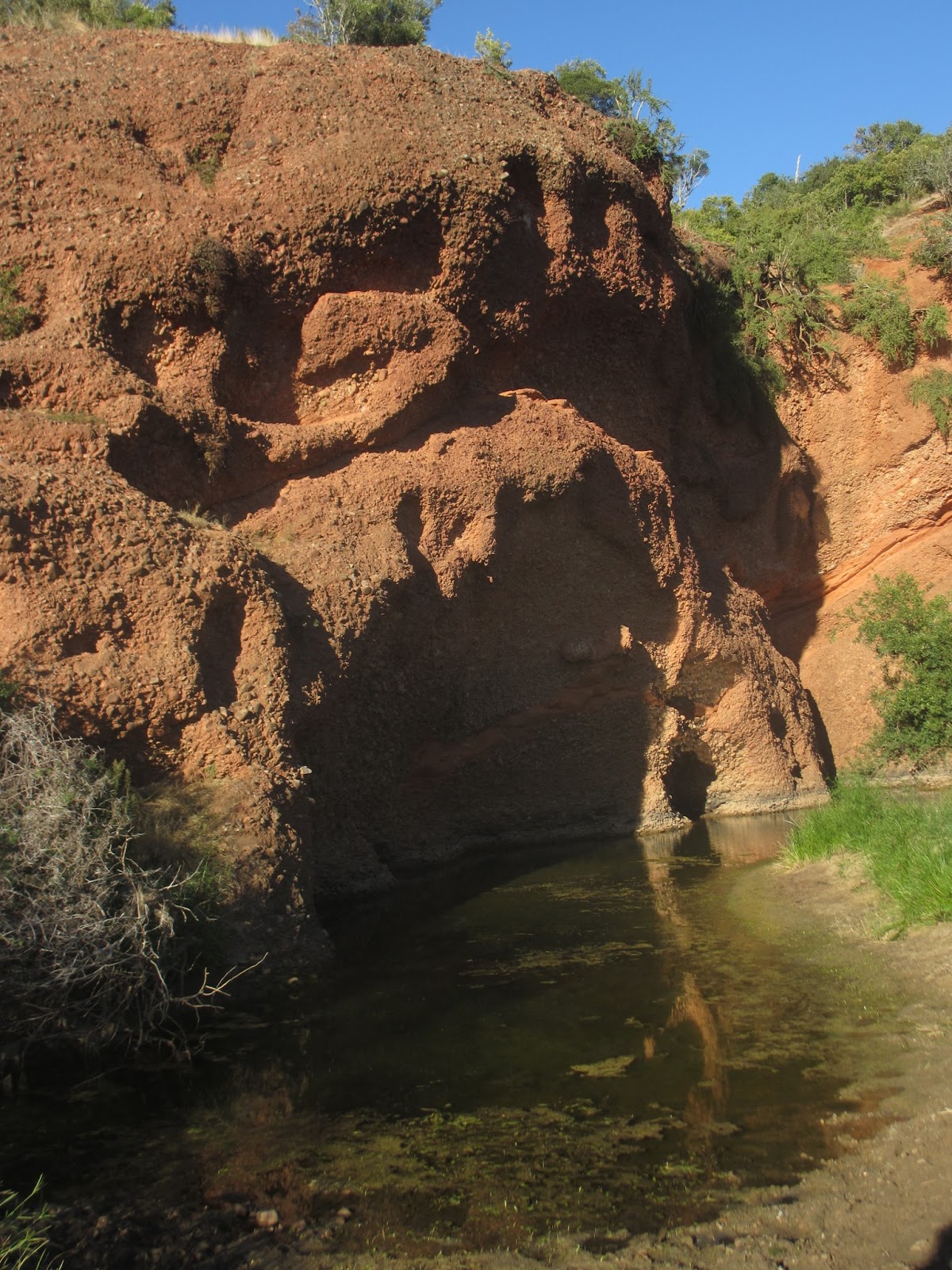 Backpacking and Volunteering in South Africa: Staying over at Nguni Lodge