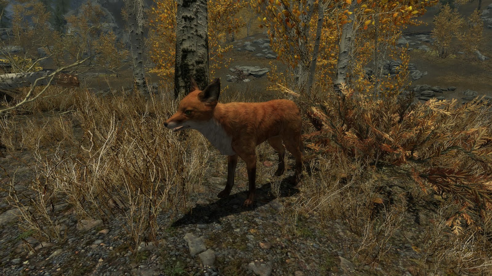 Martin James Mods: Skyrim - Noisy Fox Fix