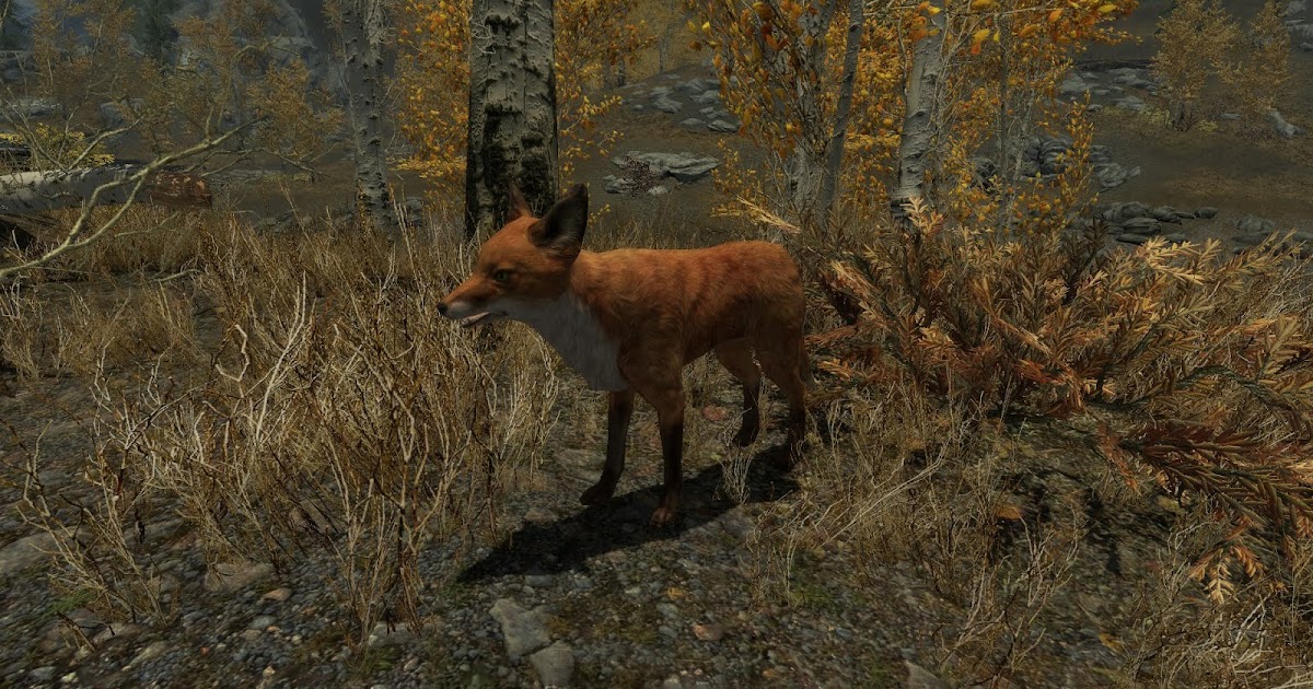 Martin James Mods: Skyrim - Noisy Fox Fix