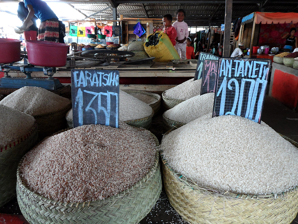 Madagascar: la hausse du prix du riz modifie les habitudes alimentaires ...