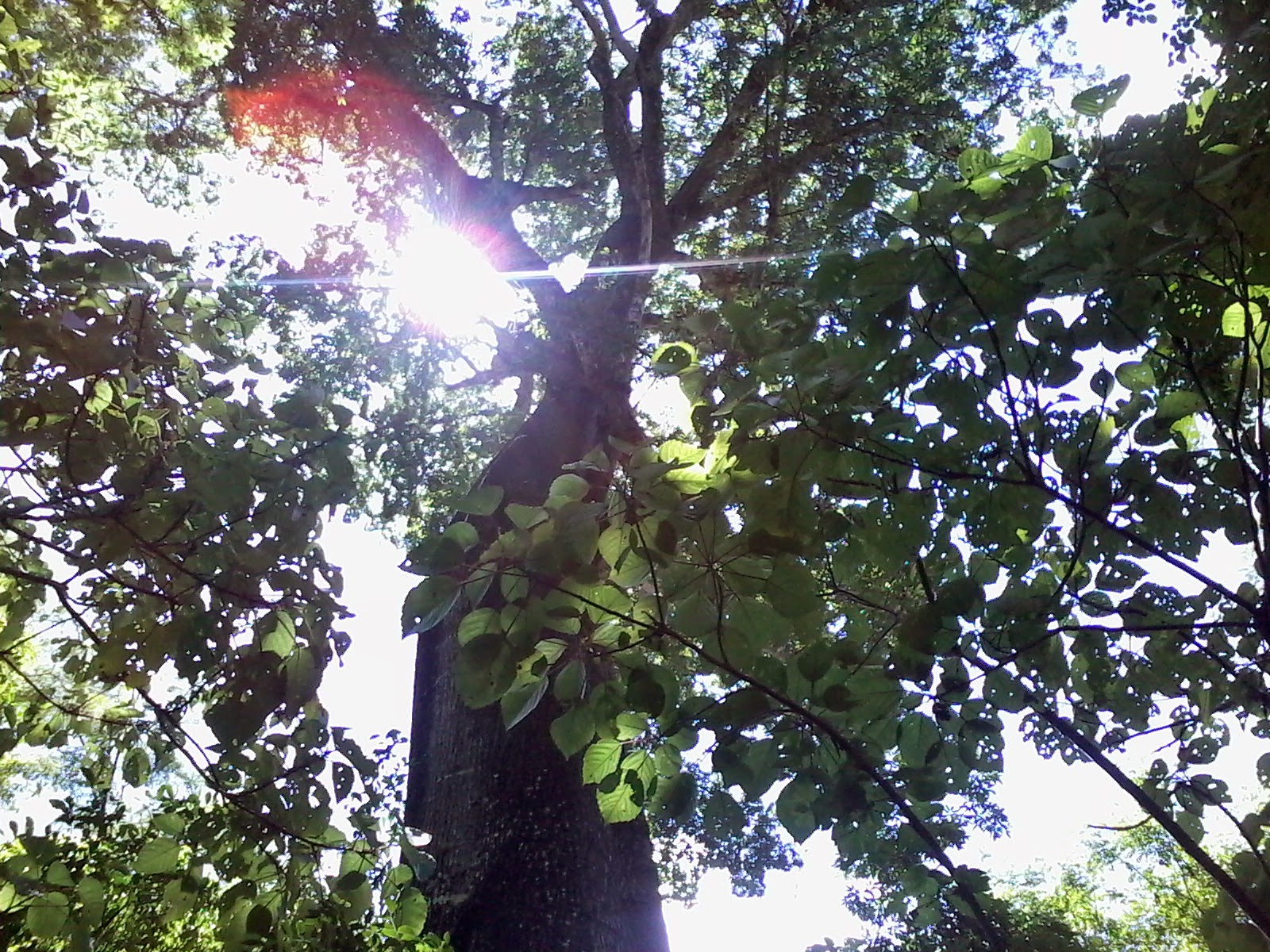 Parque Estadual do Sumidouro