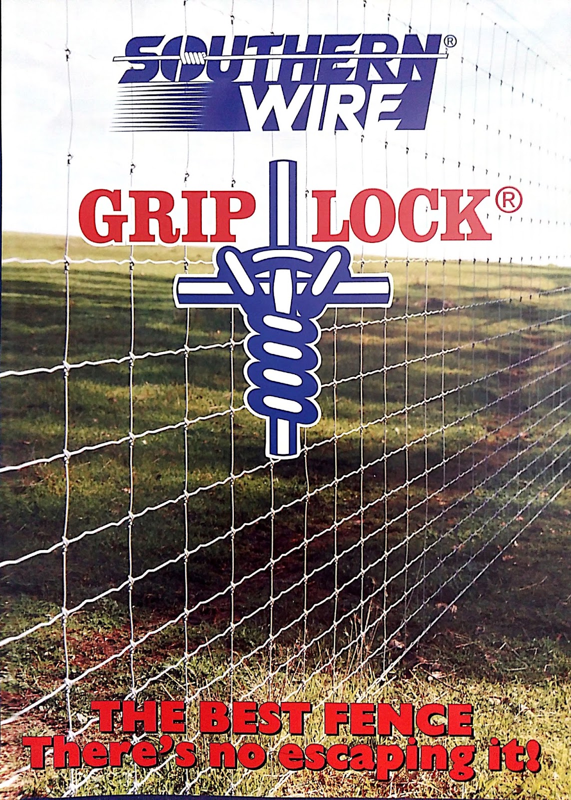 PAGAR ELEKTRIK DAN SOLAR SISTEM: CYCLONE NETTING