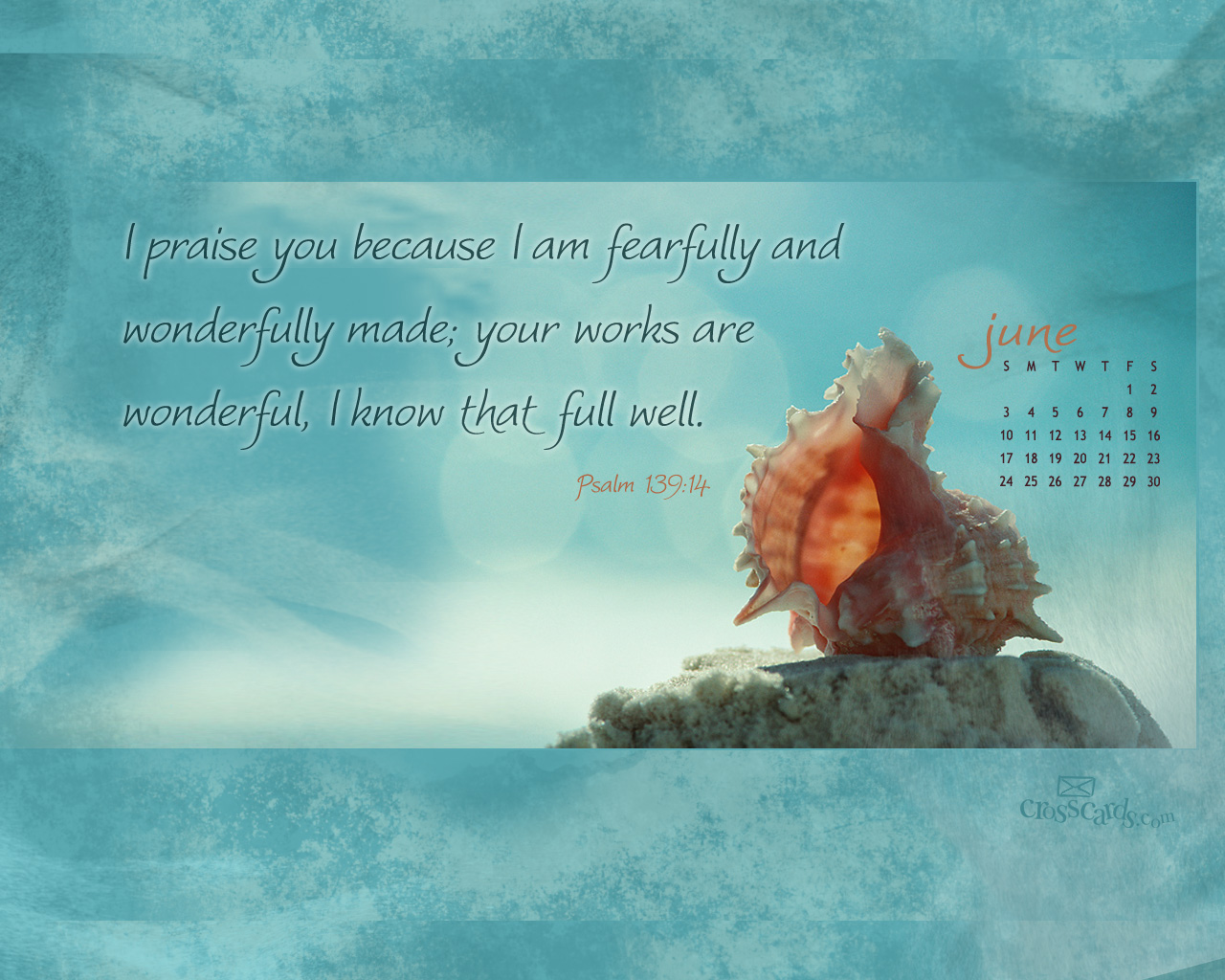 ¿CUAL ES LA DIFERENCIA ENTRE UN FANATICO RELIGIOSO I UN FANATICO DE ...