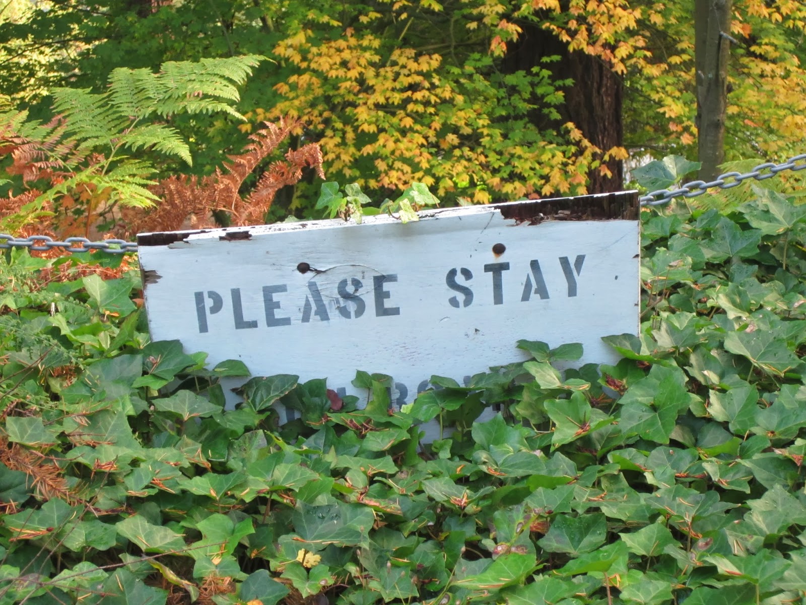 Kindling: The Jugular and Your Emotional Journey