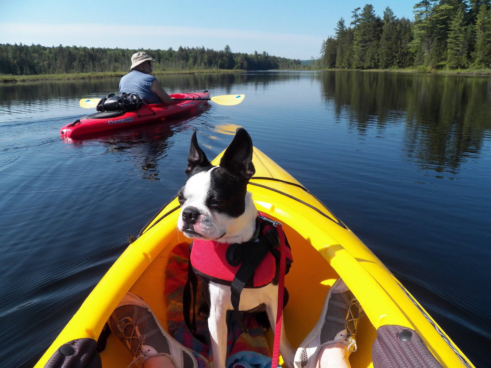 Quiet Kayaking in New York State: South Inlet, part one