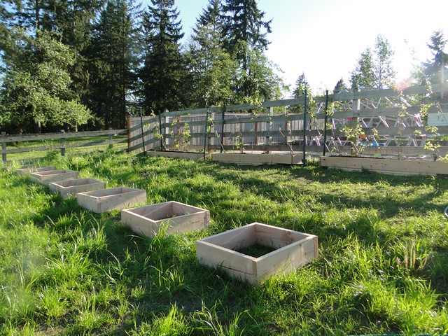 Garden Scrapbook: Blueberry Raised Beds Part 1