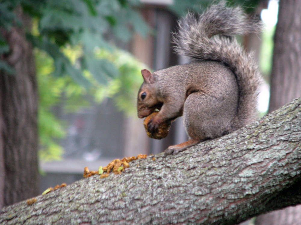 Exuberant Color : August 2011