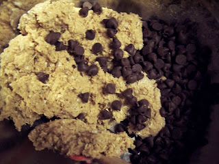 Simple Living Basics: Shredded Wheat Cookies
