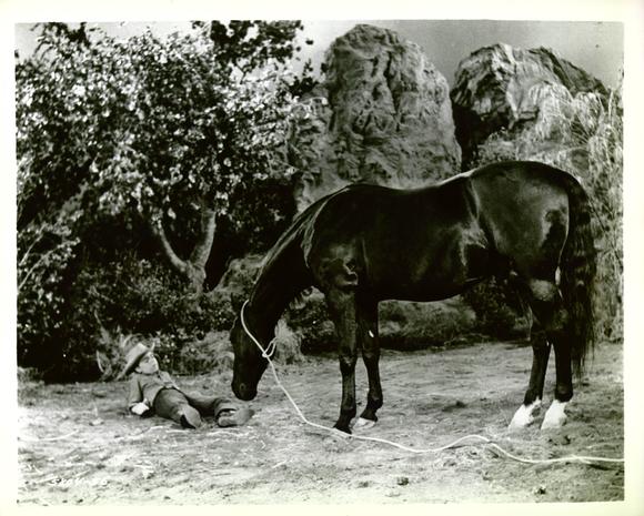 King of the Wild Stallions (AA, 1959) – Jeff Arnold’s West