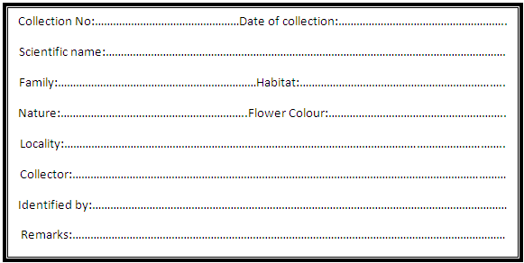 Create a best Harberium or herbarium sheet for botany | All For Students