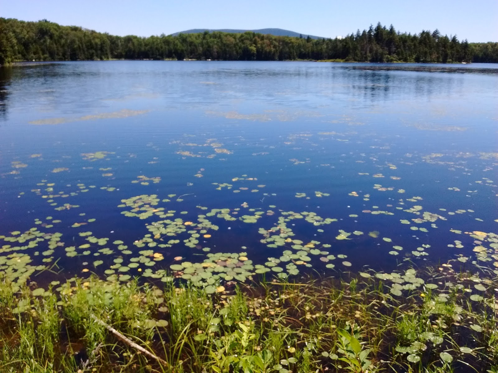 BOURN, BRANCH & STRATTON PONDS backpacking in southern Vermont.