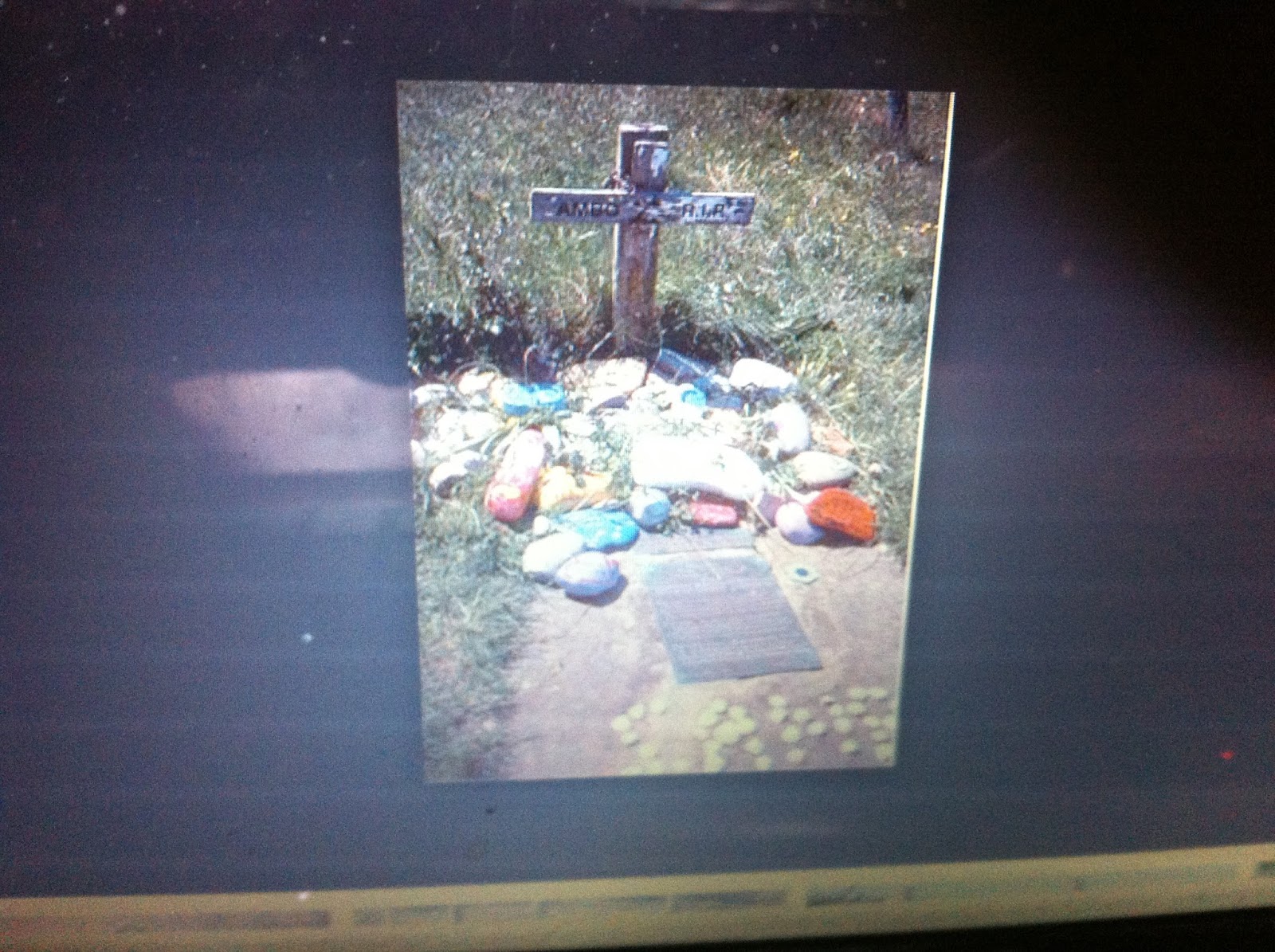 THE BLACK SOCIAL HISTORY:: BLACK SOCIAL HISTORY : SAMBO GRAVE IS THE ...