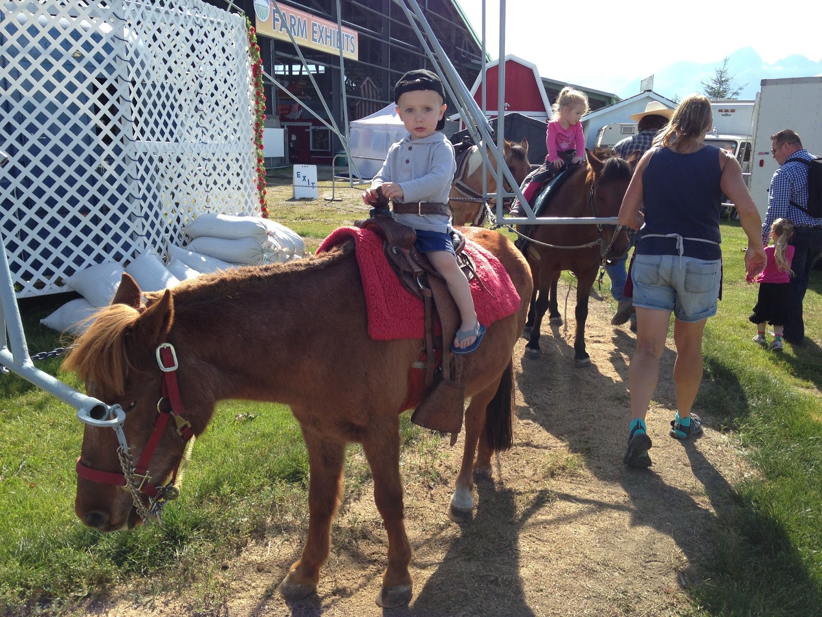 Life Alaskan Style: our Alaska State Fair 2014
