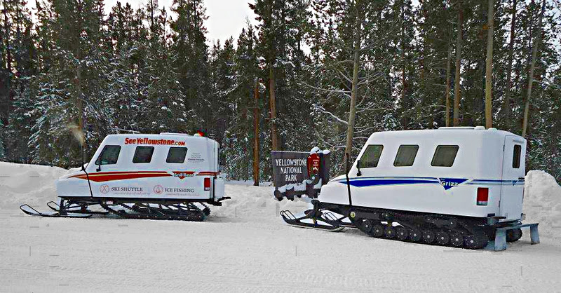 Yellowstone Park News