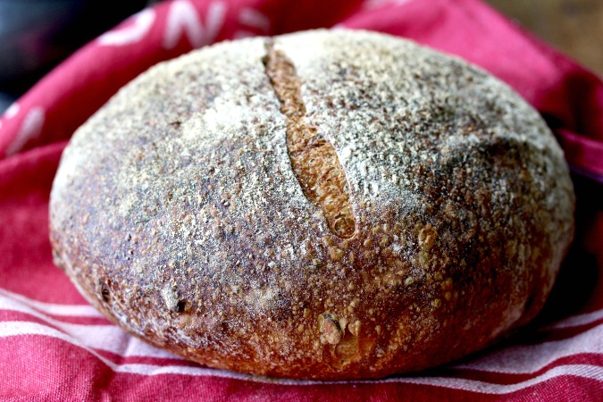 Tartine-Style Sourdough Rosemary Polenta Bread | Karen's Kitchen Stories