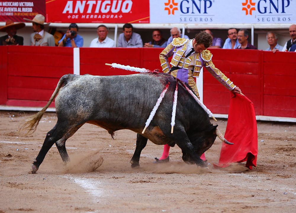 Lascosasdeltoro: El Payo lo borda sin espada, Diego Sánchez corta oreja.