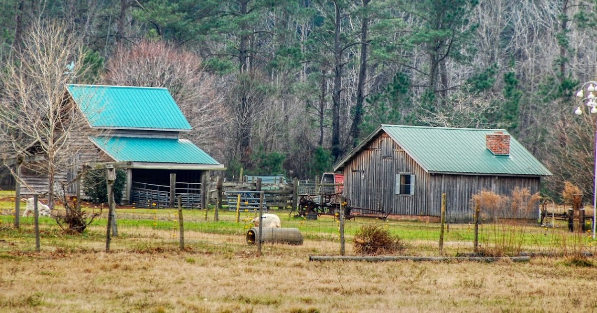 Forgotten Georgia: Interesting Farm in Laurens County
