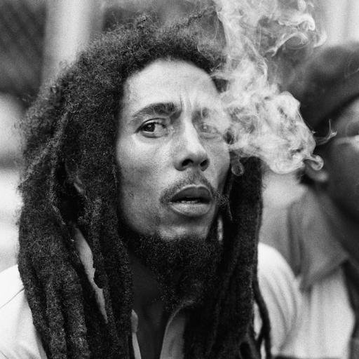 la norma y la imagen: donde Marley: ¿quién defiende los derechos ...