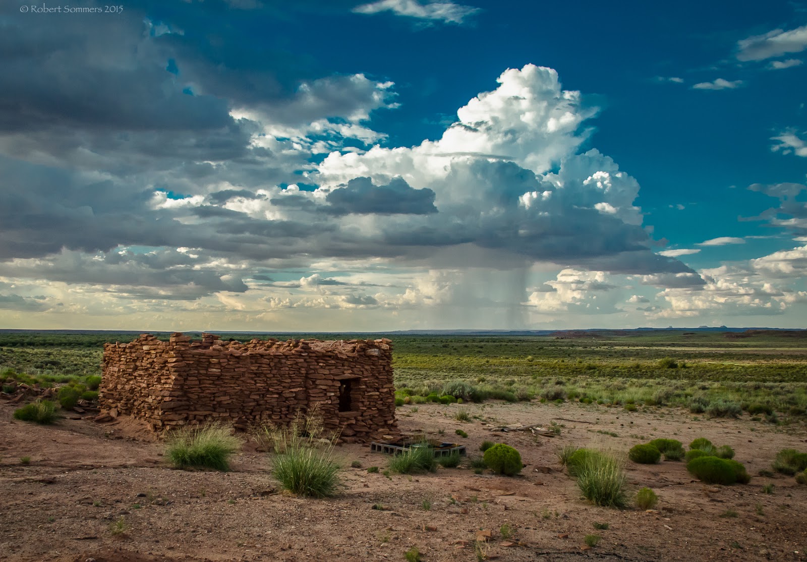 Blue Heron Blast: Hopi Rain Burst - Color