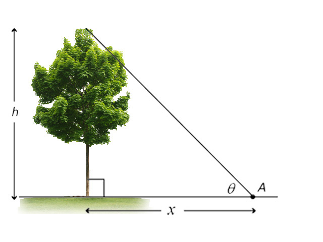 The Important of Horizontal line in measuring angle of Elevation and ...
