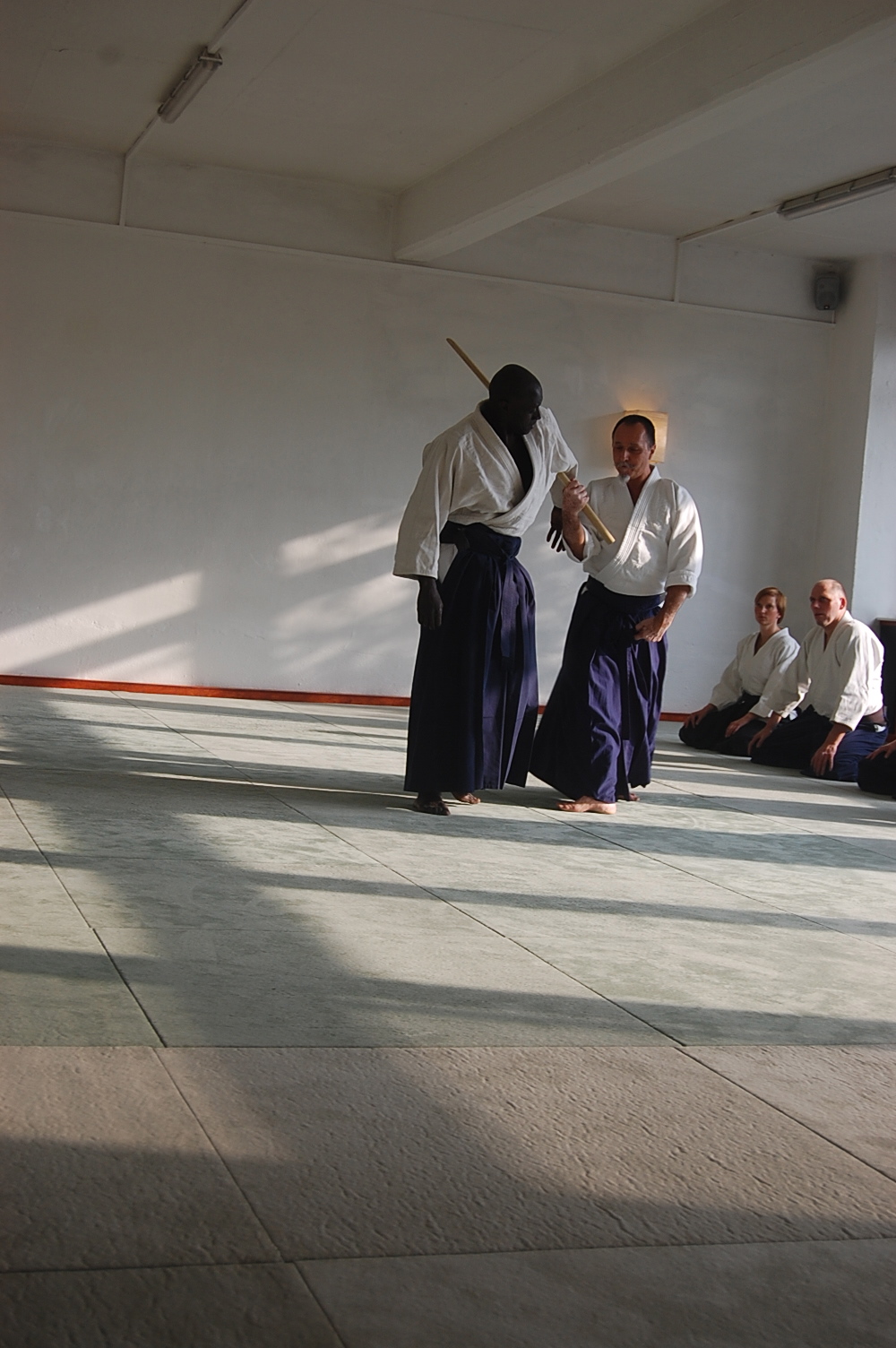 Aikido AUSTRALIA,AIKIDO Kenkyukai International, Fudoshin Dojo Australia, Noosa Heads