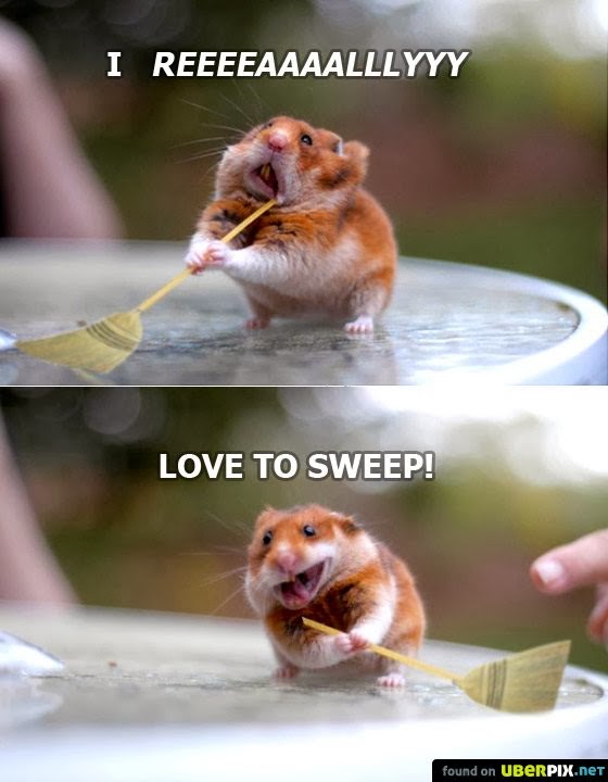 Hamster Macromania: Fun Facts about Hamsters :D