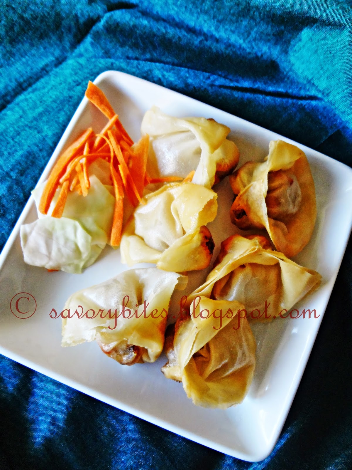 Chicken Wonton | Savory Bites Recipes - A Food Blog with Quick and Easy ...