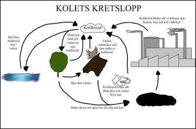 MATILDAS SKOLBLOGG: Kolets kretslopp