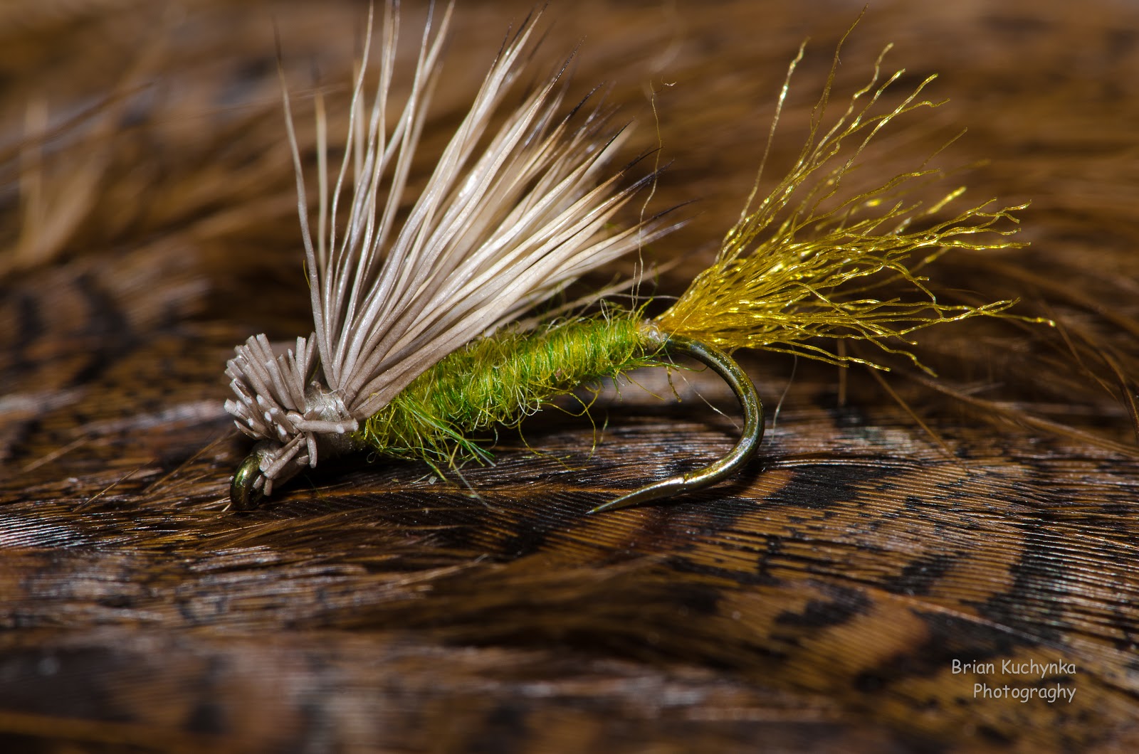 Floatfisher: Fly Pattern of the Day- "X- Caddis"