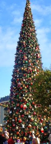 Slice of Southern: Christmas Dinner Ideas